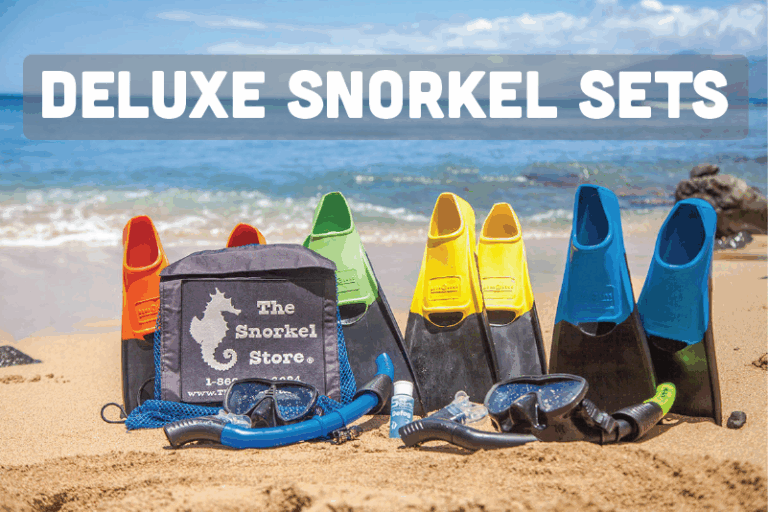 Maui Beach Chair Rental - The Snorkel Store - 2-For-1 Promo