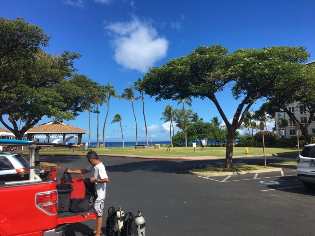 PARKING AT KAHEKILI BEACH PARK - The Snorkel Store